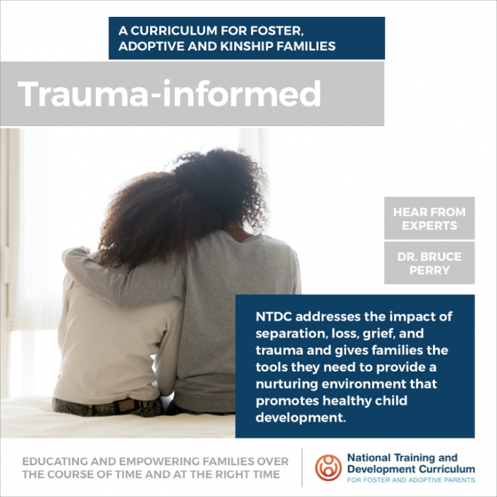 Trauma-Informed - National Training and Development Curriculum